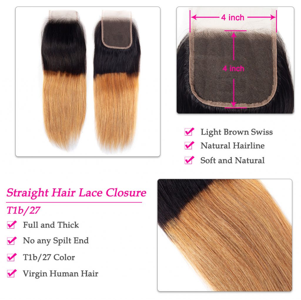 Ombre Hair T1b/27 Brazilian Straight Hair With Closure | Tinashe Hair